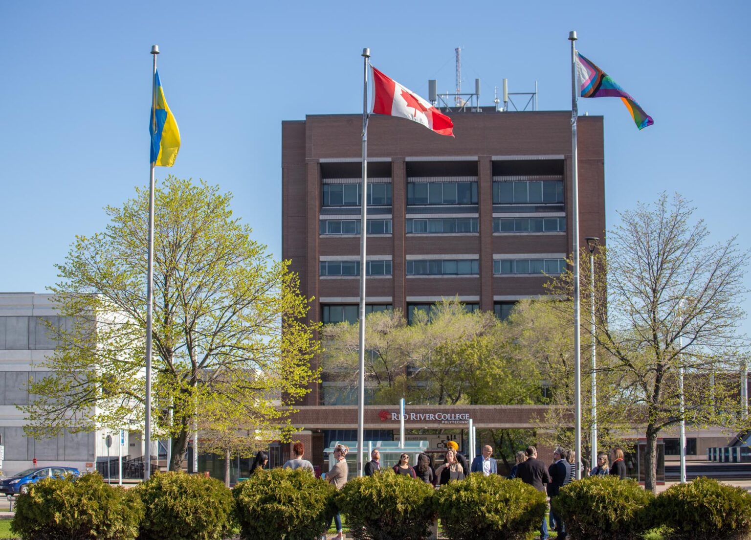 Raising the Progress Pride Flag : RRC Polytech: Equity, Diversity and ...