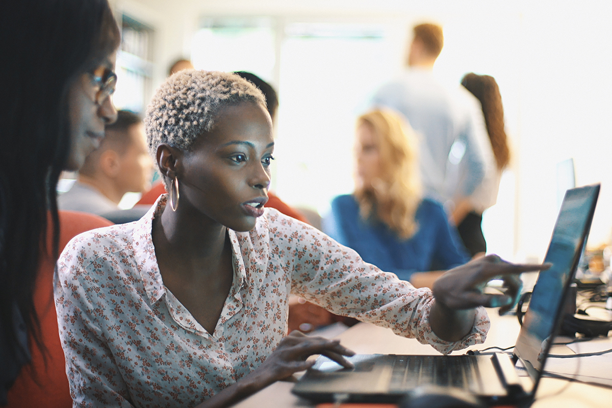 Digital Media Design : RRC Polytech: Program Explorer