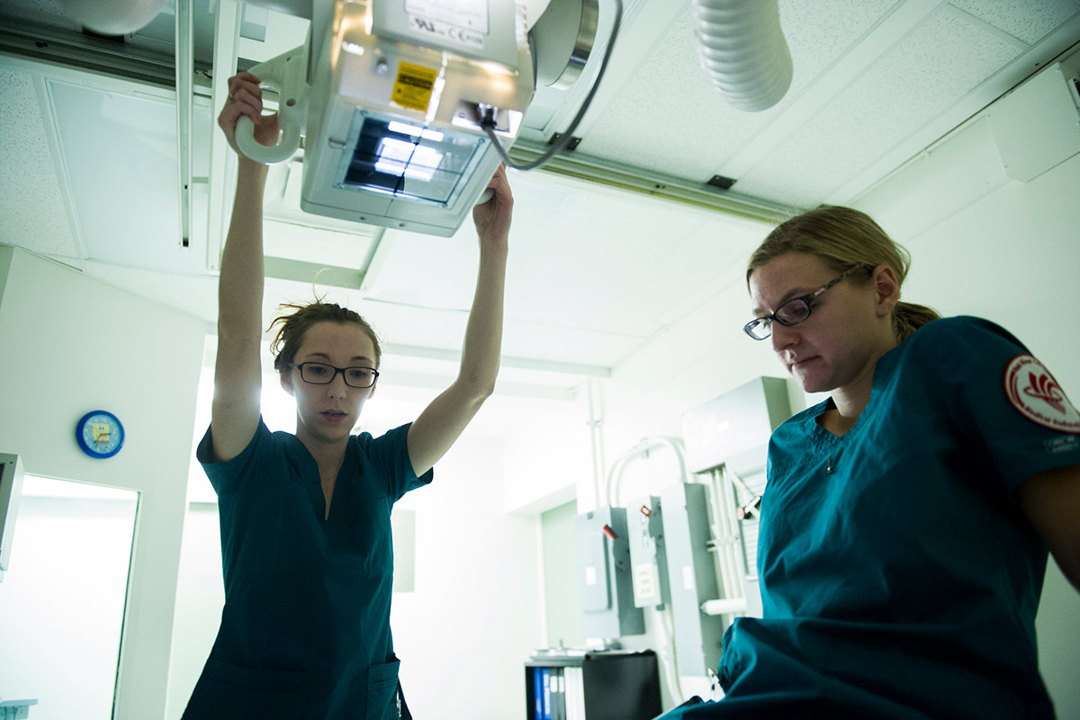 Medical Radiologic Technology : RRC Polytech: Program Explorer