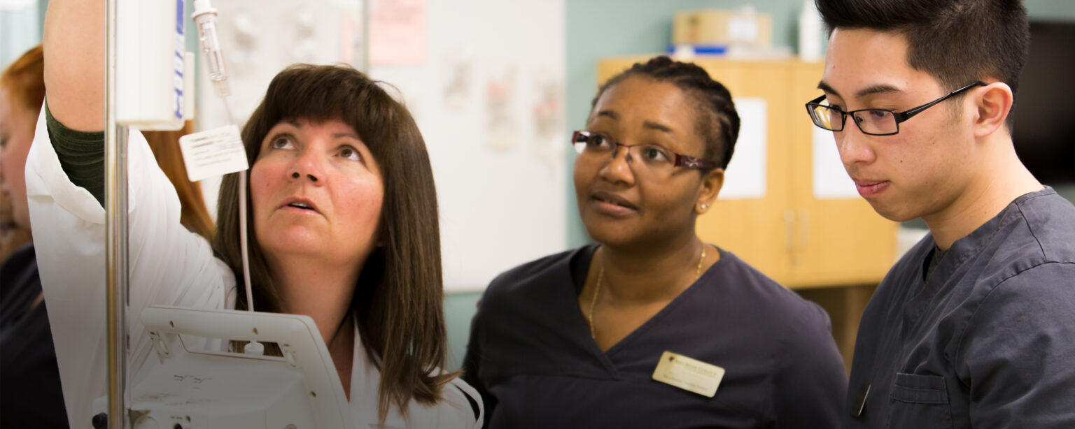 Nursing - Licensed Practical Nurse to BN Pathway : RRC Polytech ...