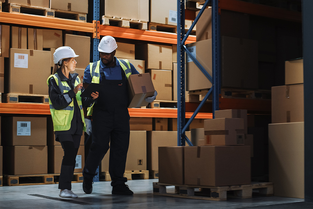 Transportation, Logistics and Supply Chain Management : RRC Polytech ...