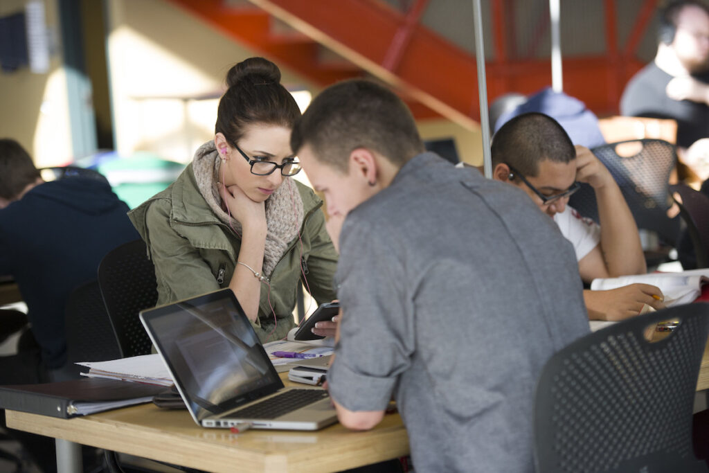 RRC Polytech: Program Explorer