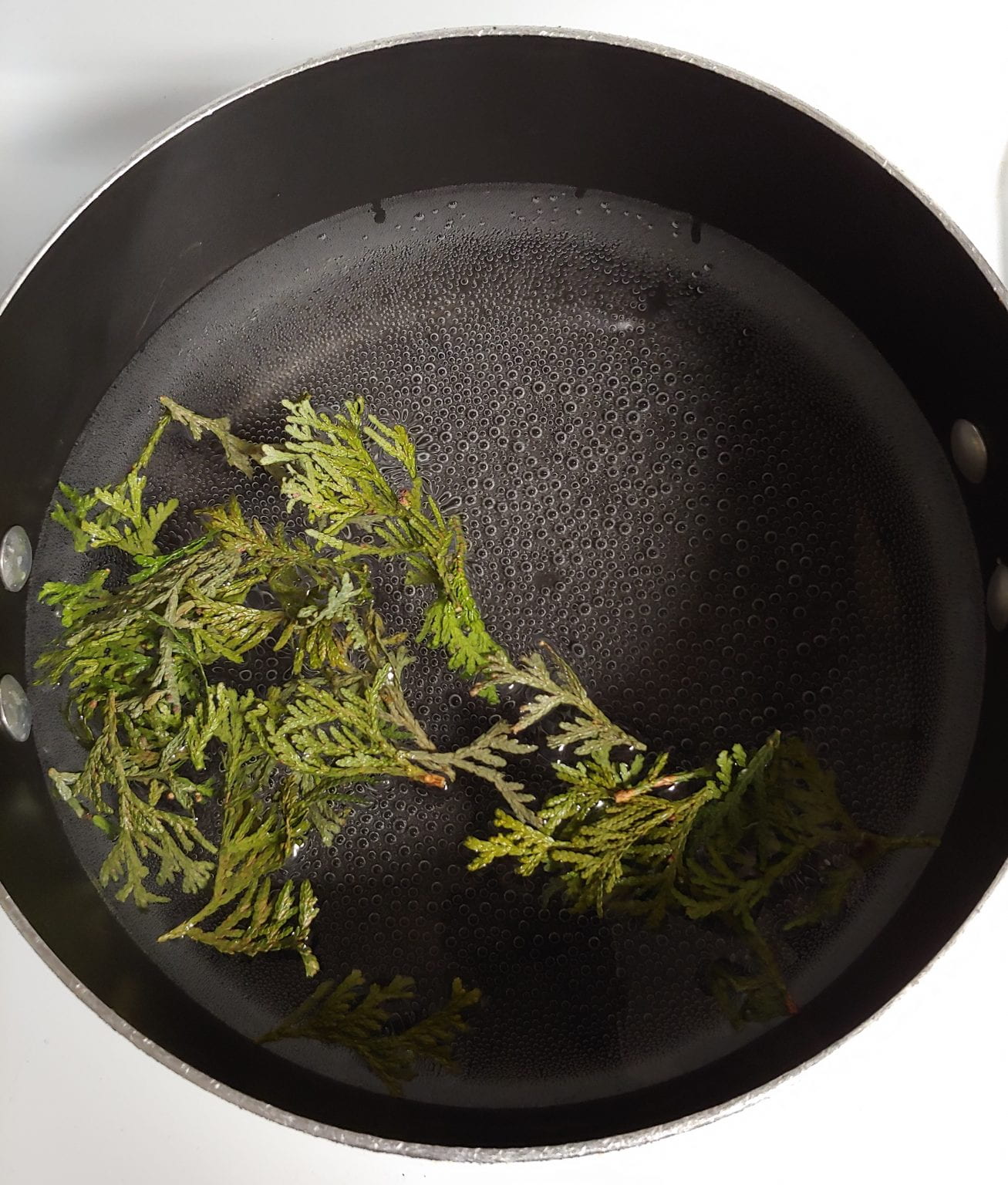 Healing with Cedar at Home : RRC Polytech: Indigenous Education