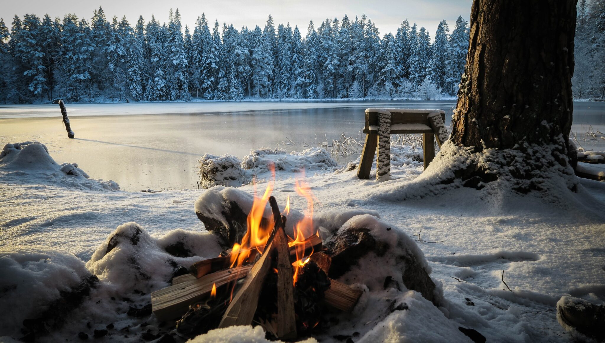 Winter Solstice 2021 : RRC Polytech: Indigenous Education