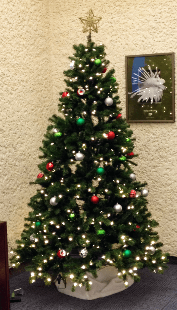 Happy Holidays from RRC Library Staff : RRC Polytech: Library and ...