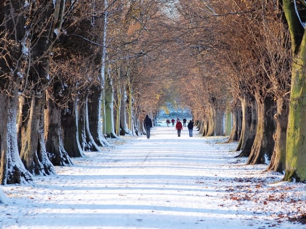 Wellness Walk: Get 3,000 Steps and Some Fresh Air! : RRC Polytech ...